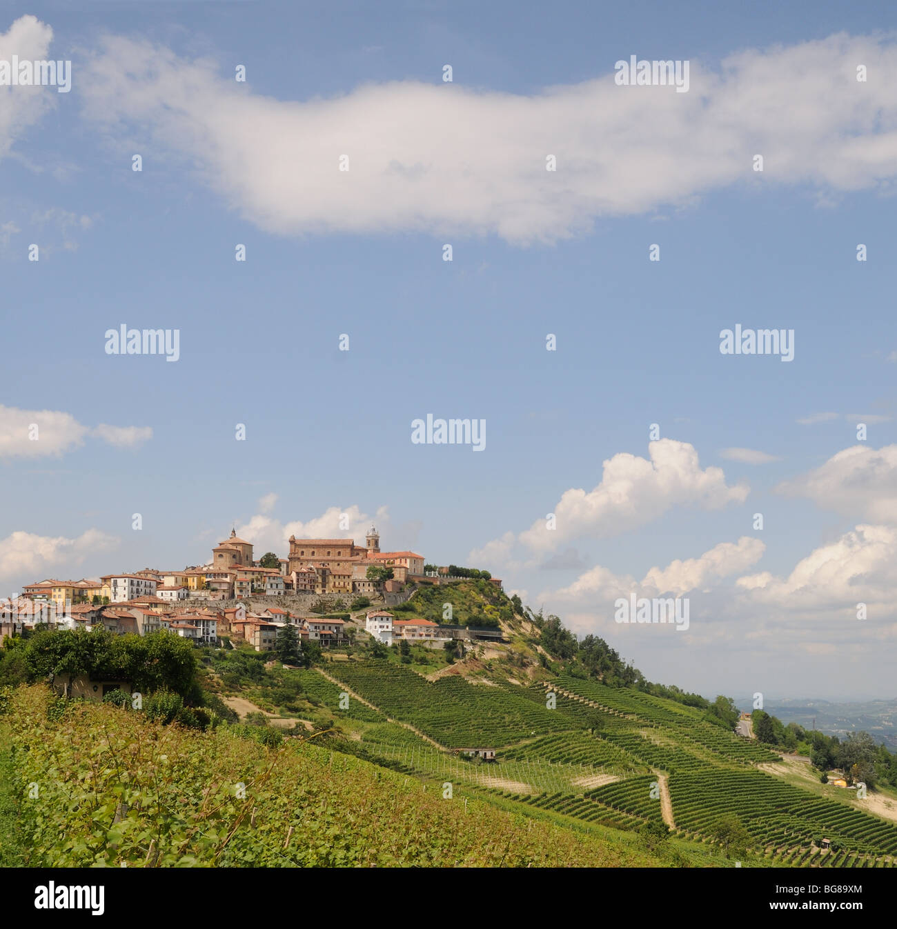 Vigneto in barolo hi-res stock photography and images - Alamy