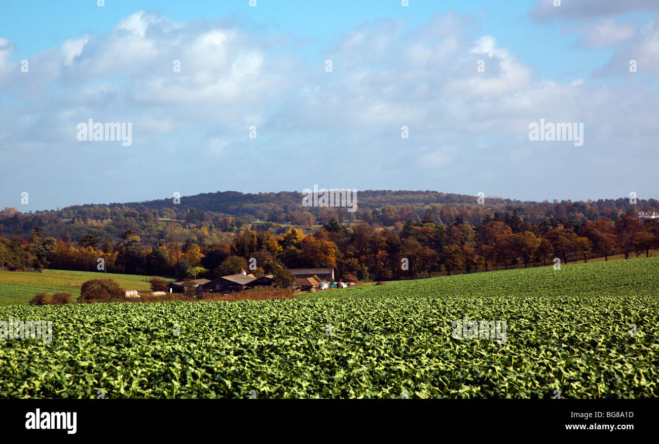 Distant farm hi-res stock photography and images - Alamy
