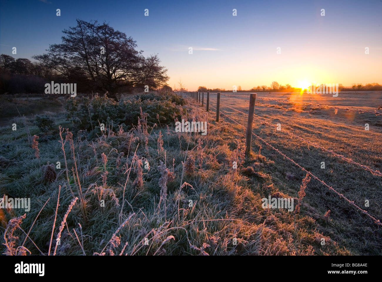 Dorset river frost hi-res stock photography and images - Alamy