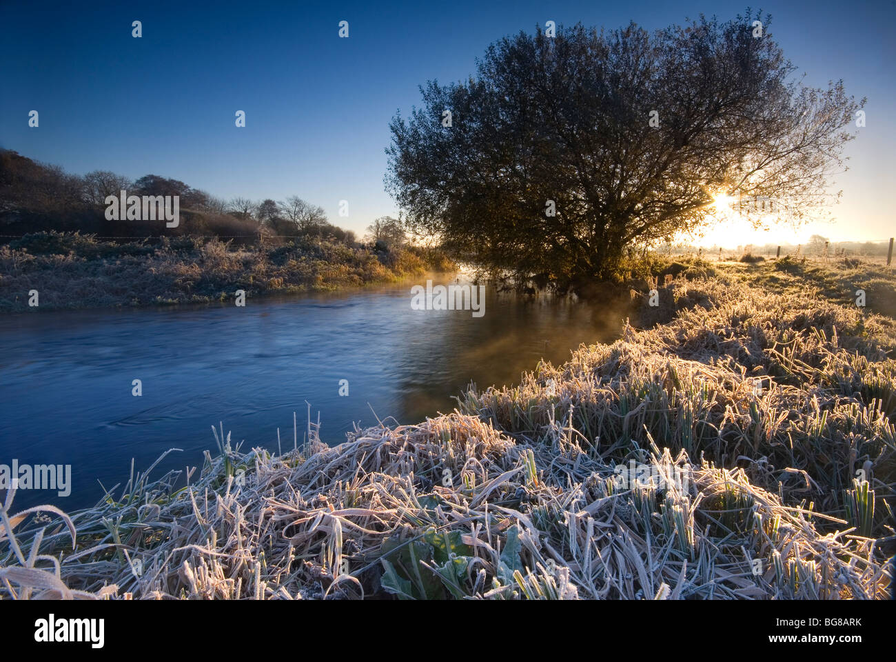 Sunrise over the banks of the River Frome, Dorset, UK Stock Photo - Alamy