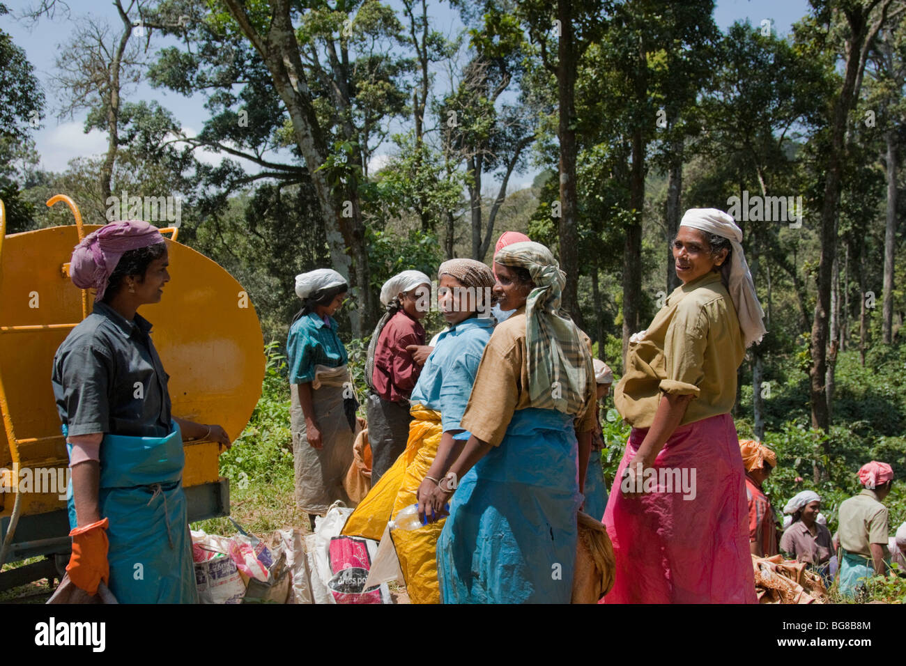 Coffee Plantation Workers