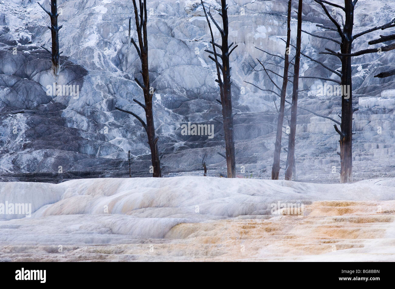 Travertine terraces detail hi-res stock photography and images - Alamy