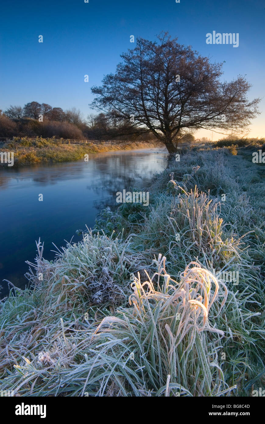 Sunrise over the banks of the River Frome, Dorset, UK Stock Photo - Alamy
