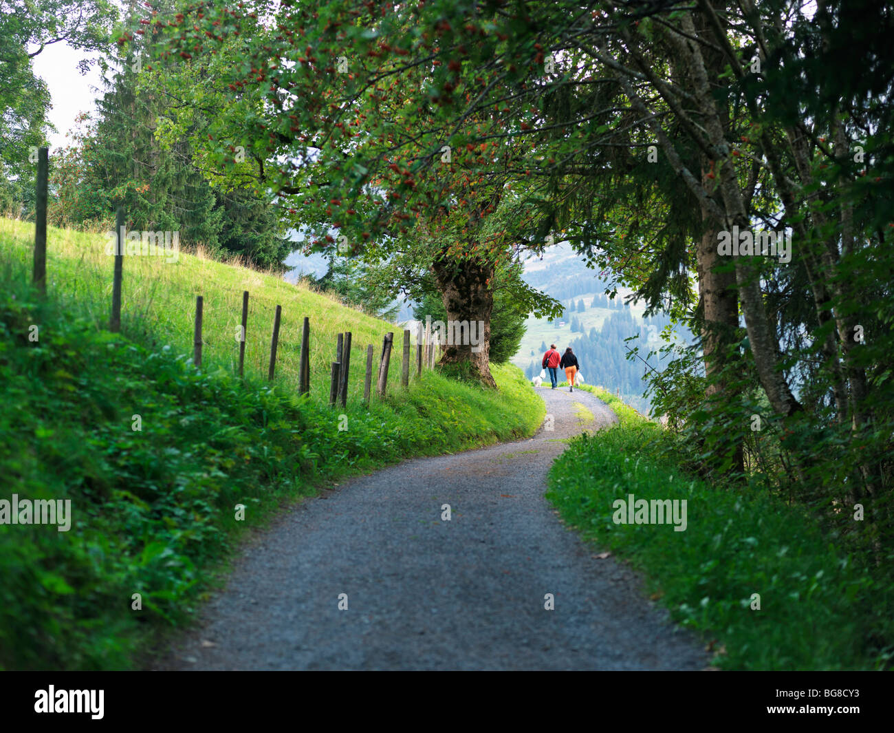 Switzerland,Wengen,two people walking along a path Stock Photo - Alamy