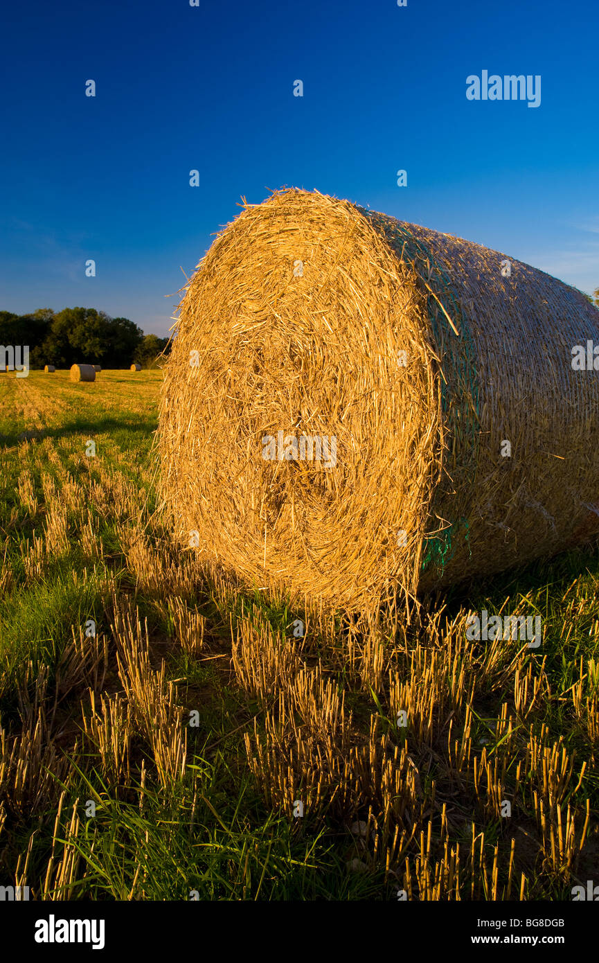 Haybails hi-res stock photography and images - Alamy