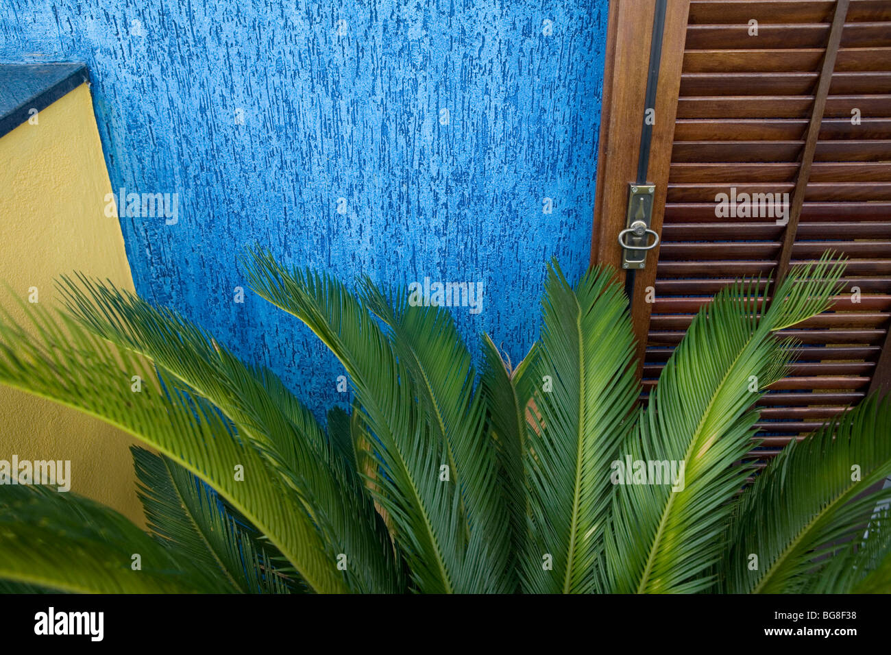 Sao Paulo's watershed, Brazil Stock Photo - Alamy