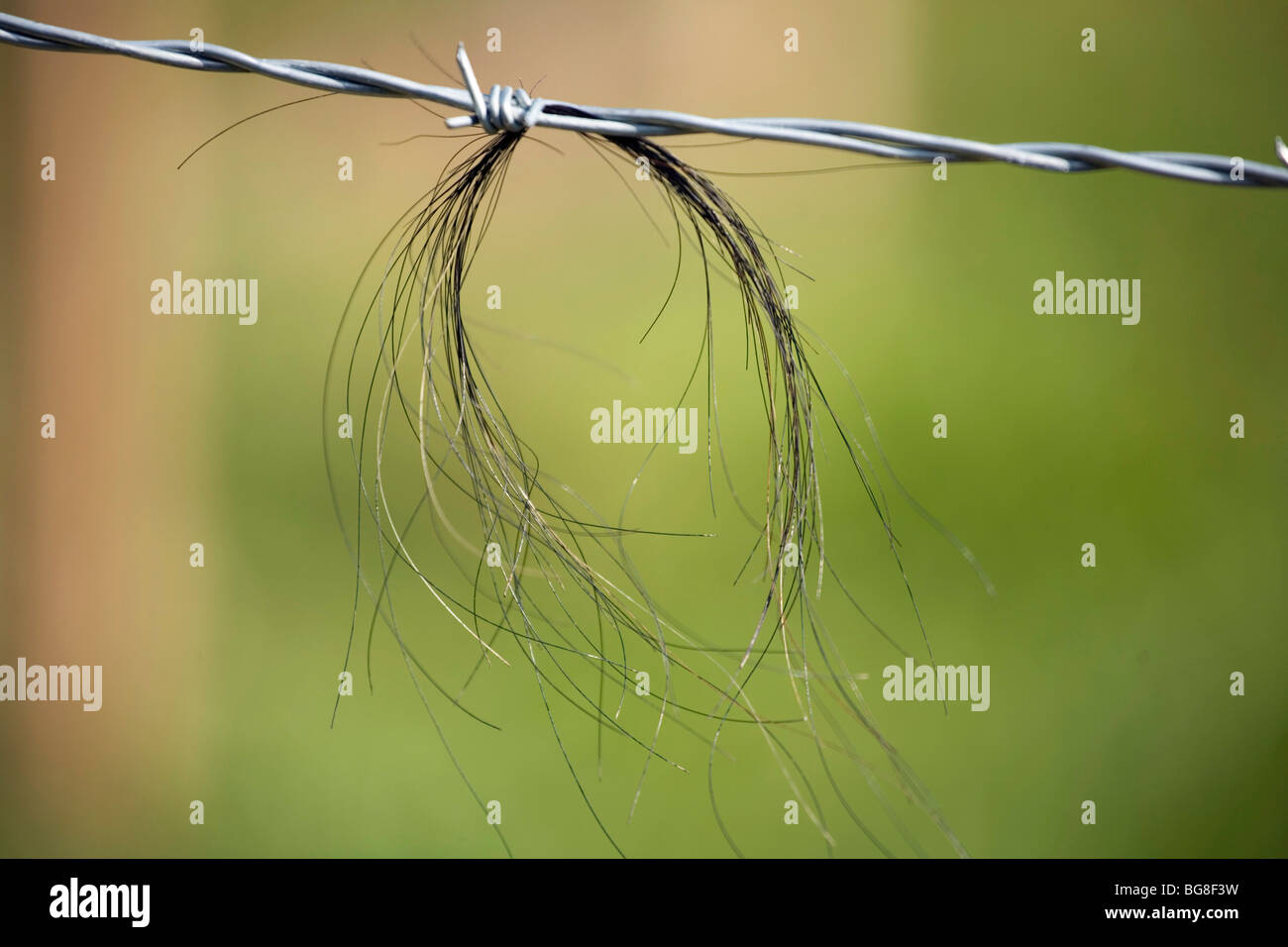 Sao Paulo's watershed, Brazil Stock Photo - Alamy