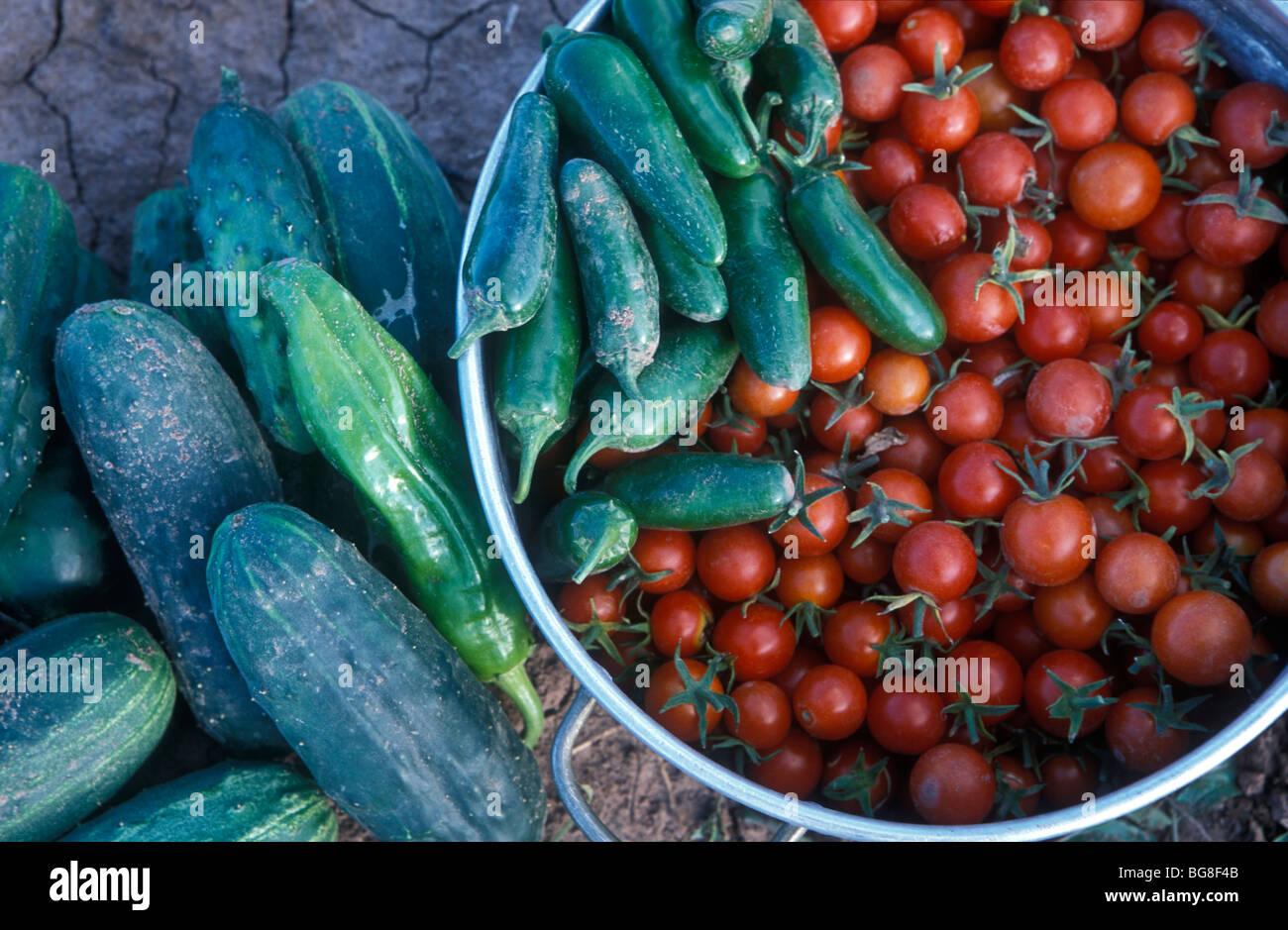 The Zuni Indians of New Mexico Stock Photo - Alamy