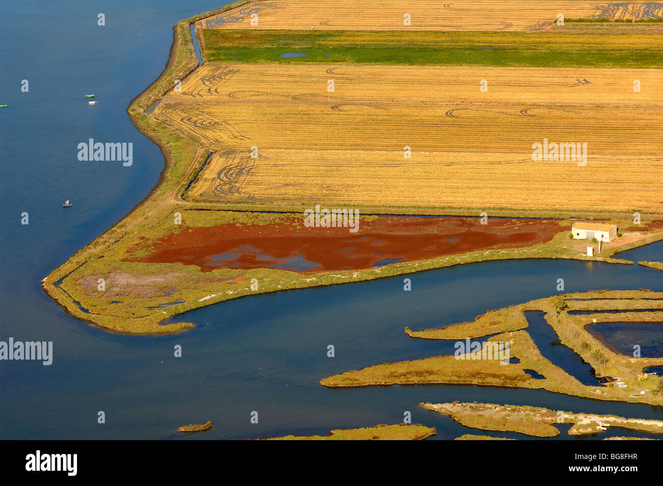Ebro delta hi-res stock photography and images - Alamy
