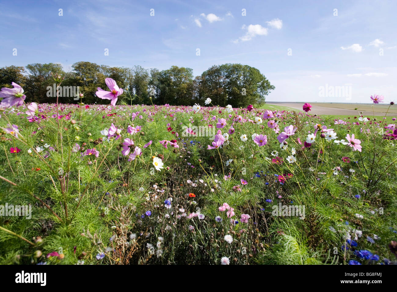 Fallowing land hi-res stock photography and images - Alamy