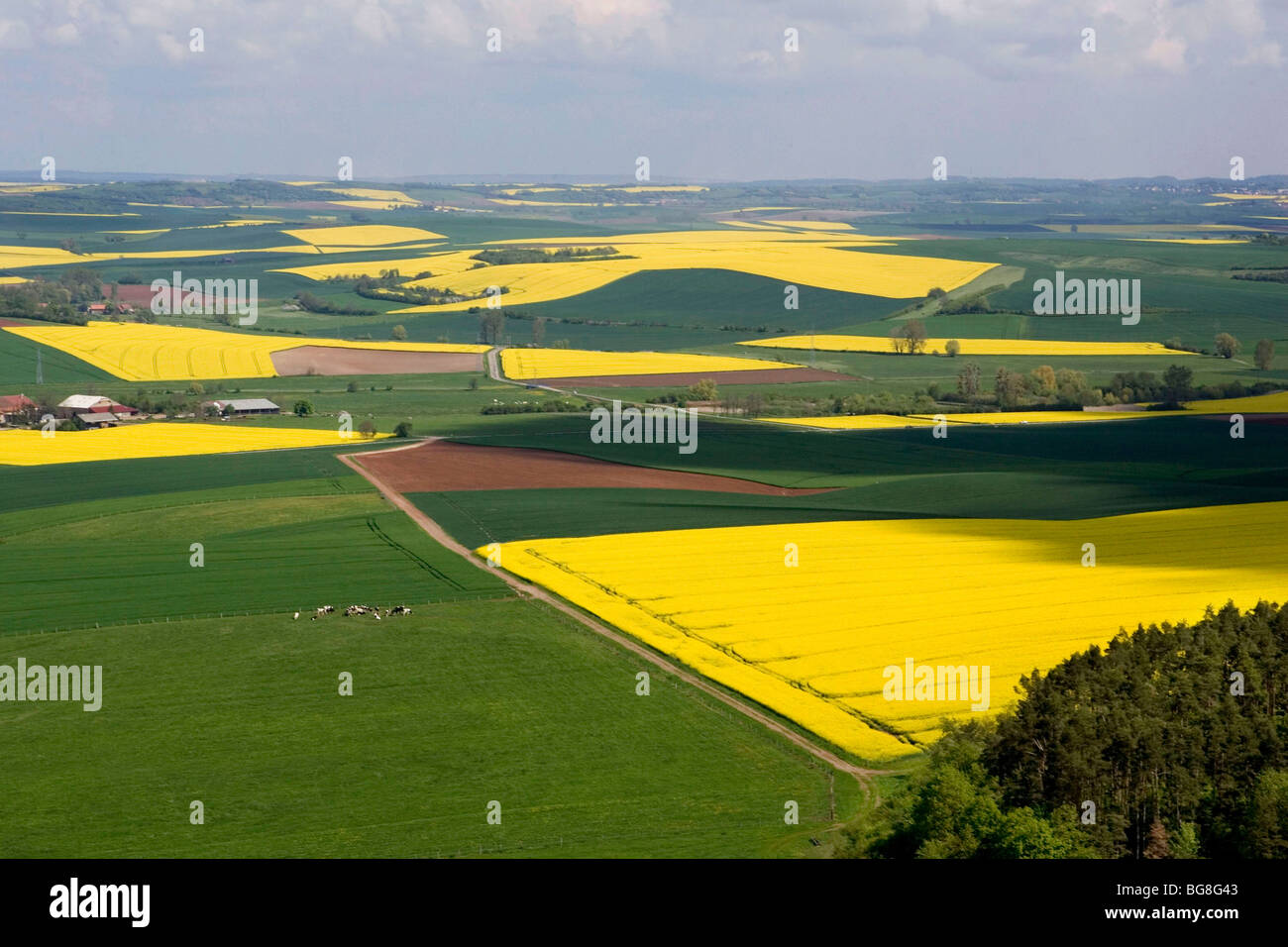 Moselle 57 hi-res stock photography and images - Alamy