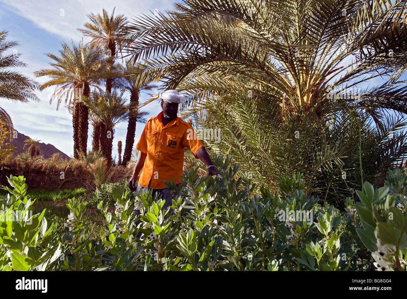 Algeria : Djanet Stock Photo - Alamy
