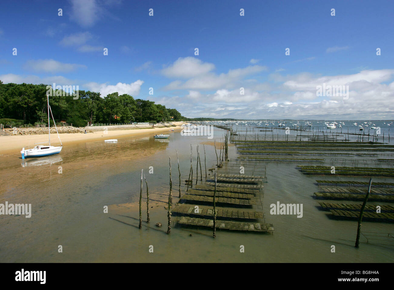 Cap Ferret (33): Oyster farming Stock Photo - Alamy