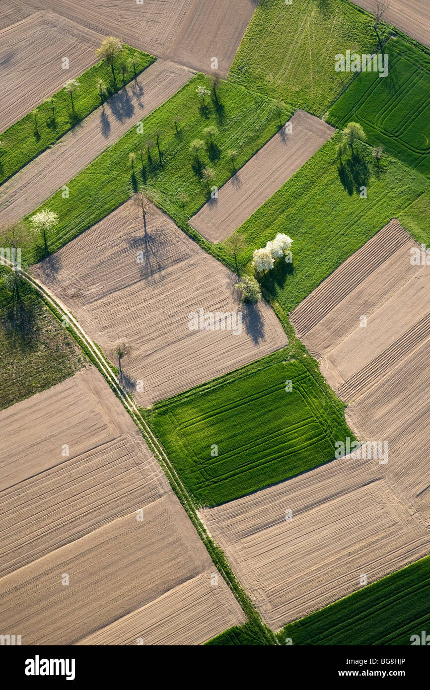 Field in Alsace Stock Photo - Alamy