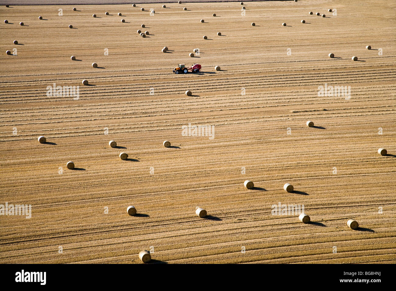 Windrowing hi-res stock photography and images - Alamy