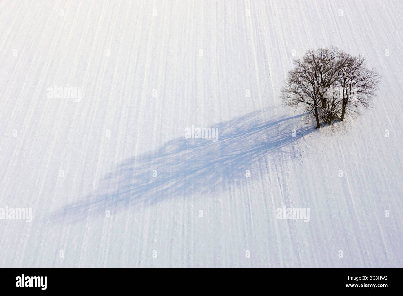 Field in winter Stock Photo - Alamy