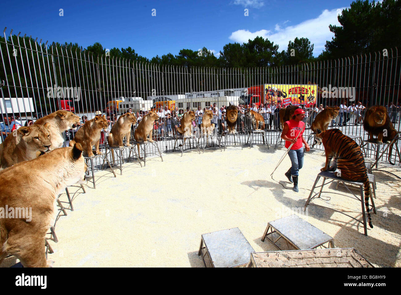 Pinder circus hi-res stock photography and images - Alamy