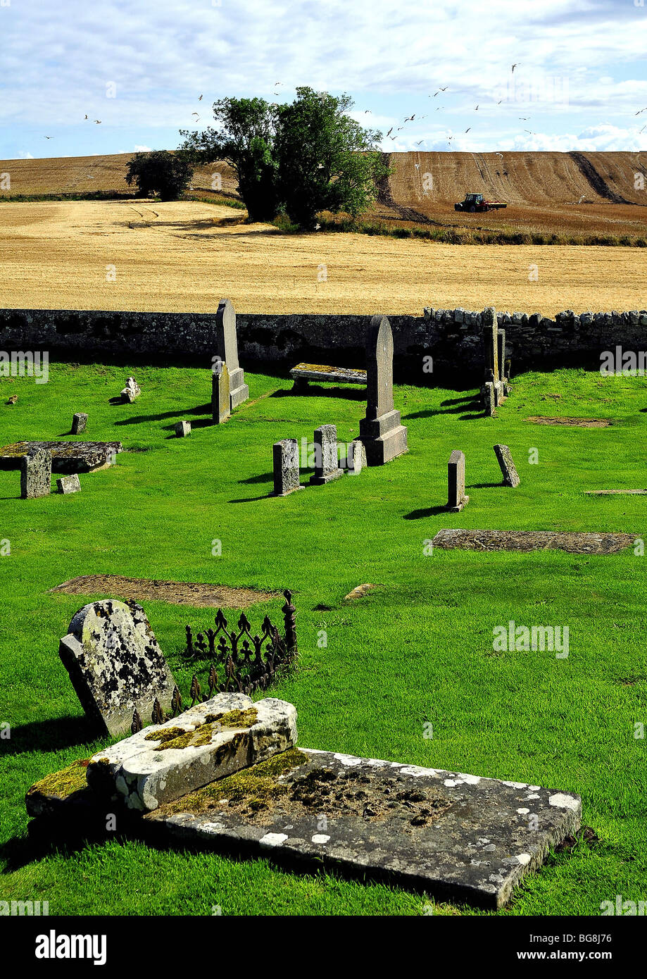 Scotland : Tarbat Ness cemetery Stock Photo - Alamy