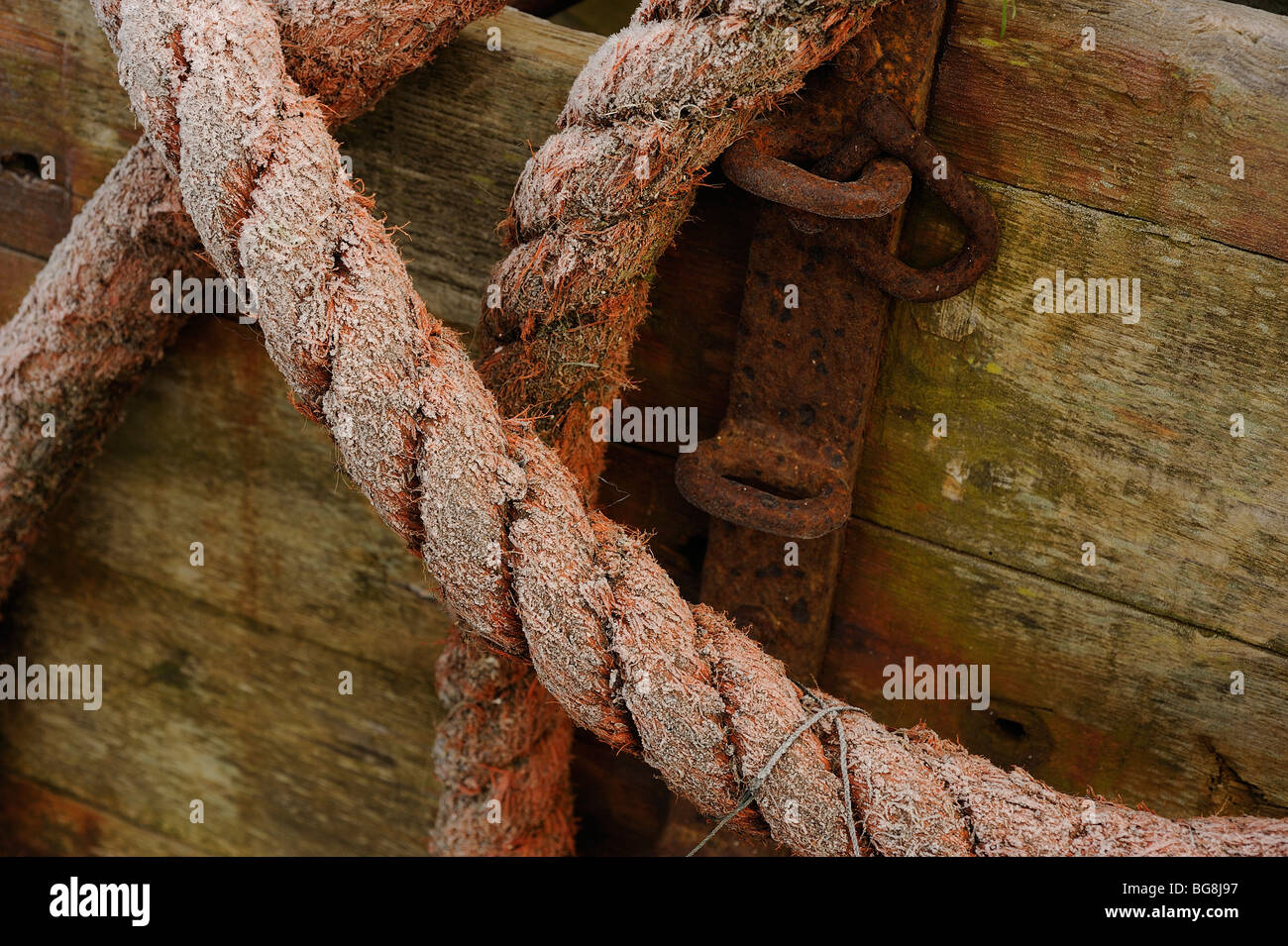 Old l hi-res stock photography and images - Alamy