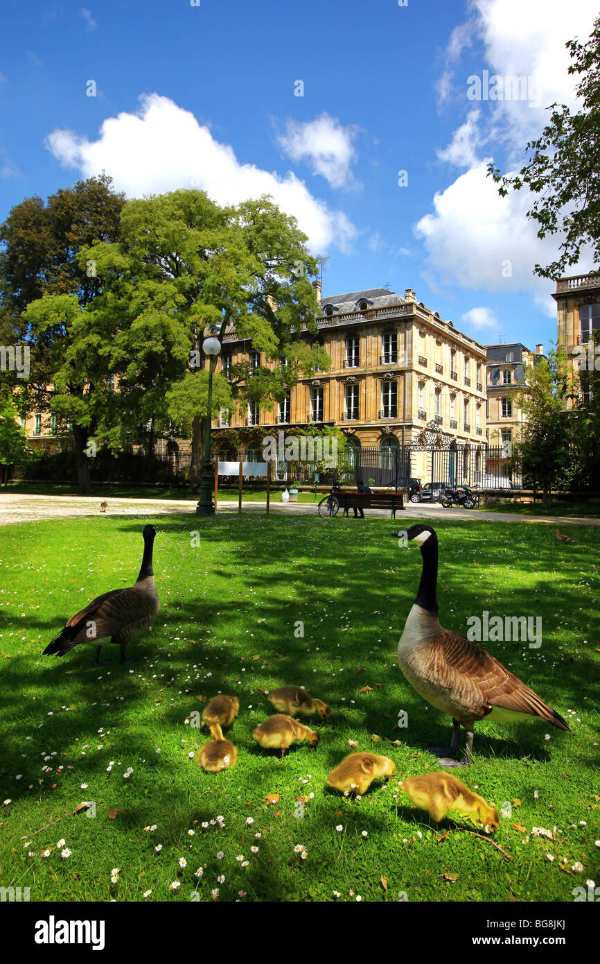 Bordeaux (33) : "Parc Bordelais" park Stock Photo - Alamy