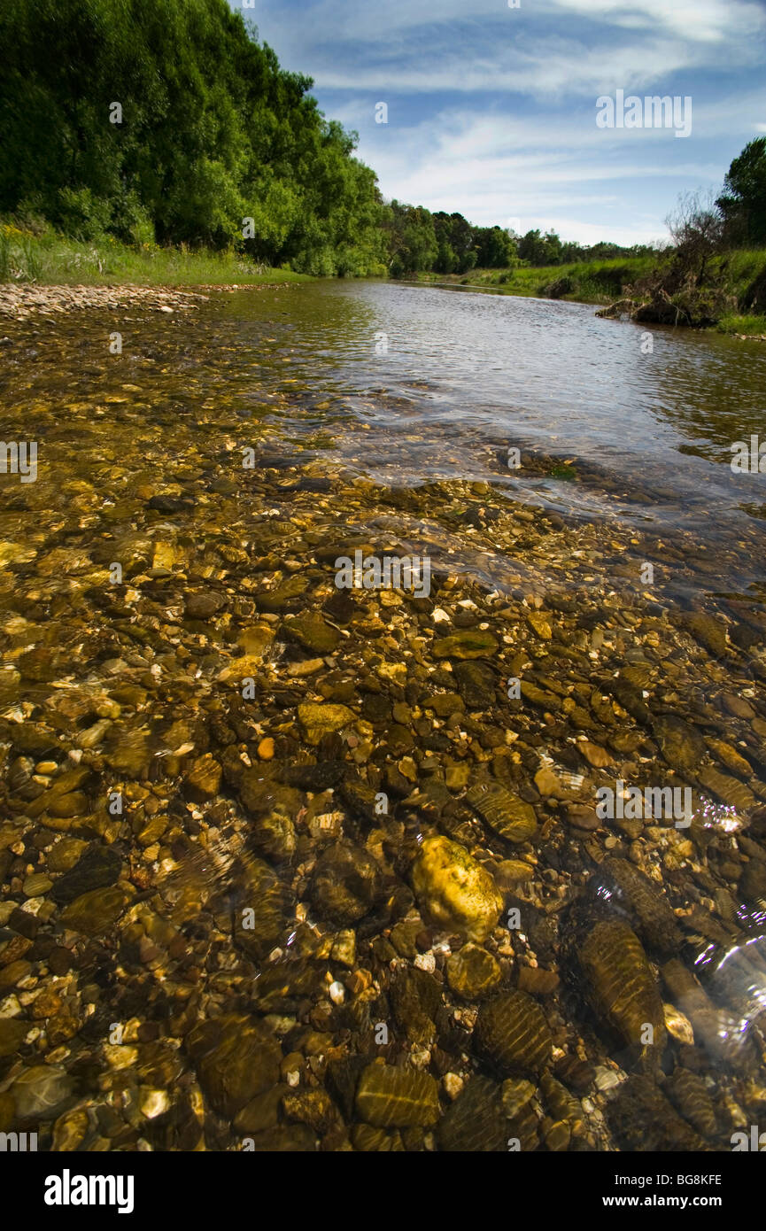 clear mountain stream Stock Photo - Alamy