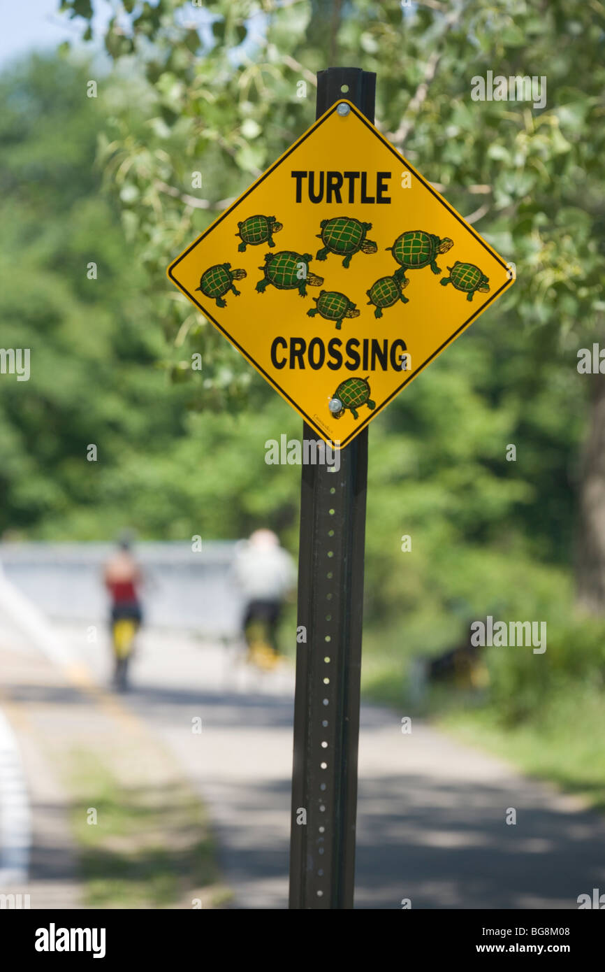 Turtle crossing sign hi-res stock photography and images - Alamy