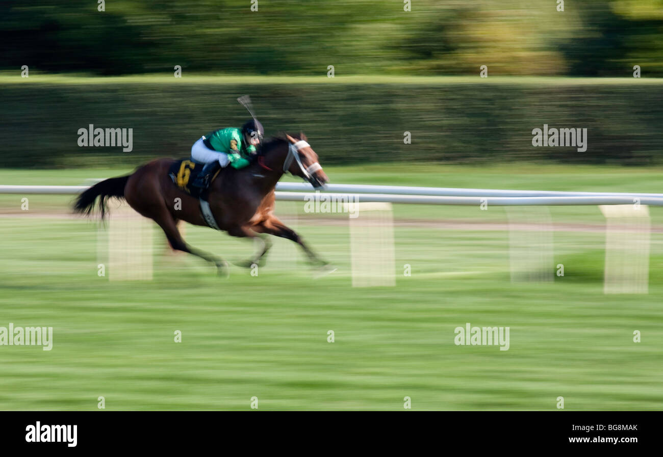 Horse racer at Arlington Park racetrack, Illinois Stock Photo - Alamy