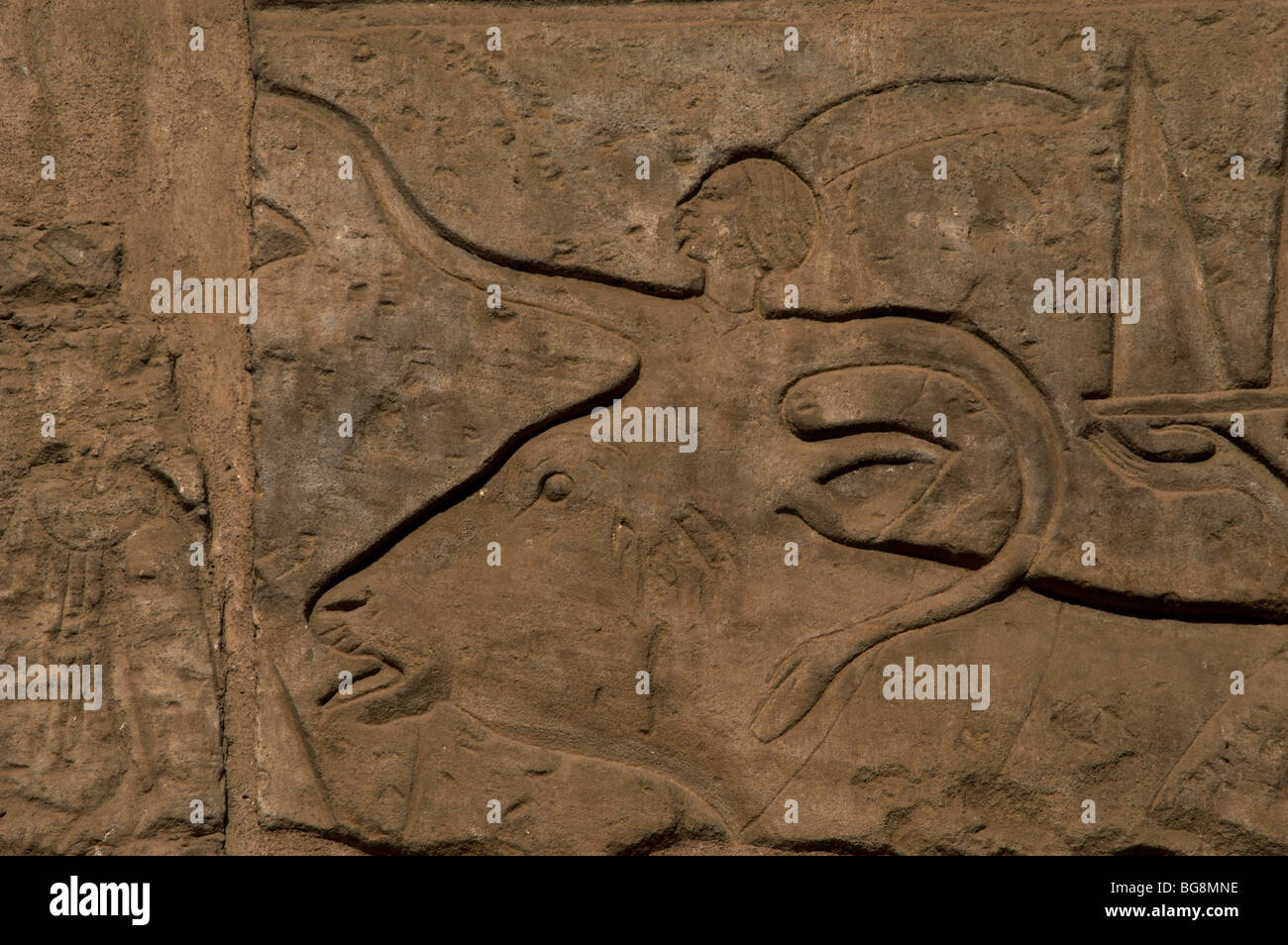 Animal sacrifice ancient egypt hi-res stock photography and images - Alamy