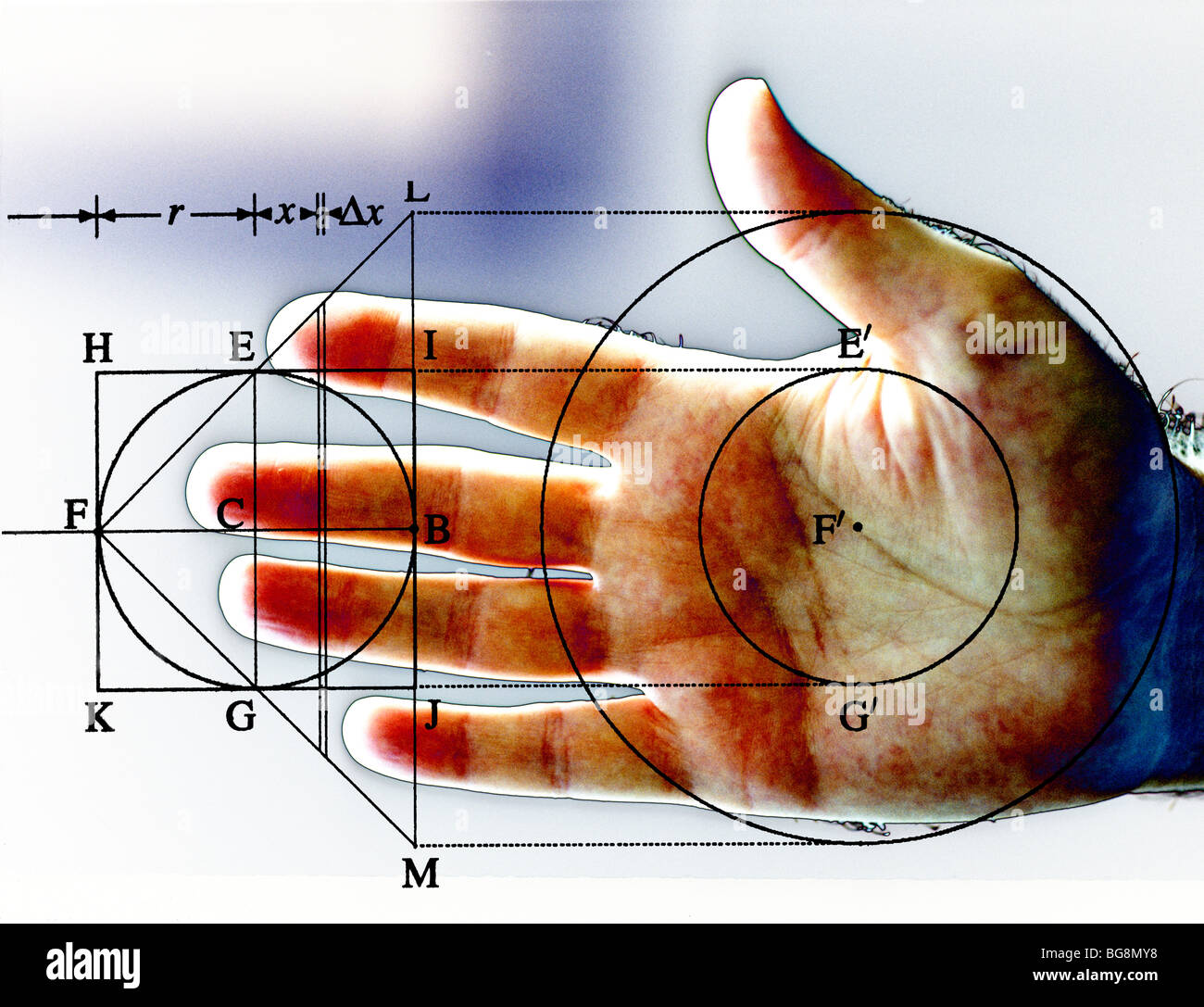 Circular diagram hi-res stock photography and images - Alamy