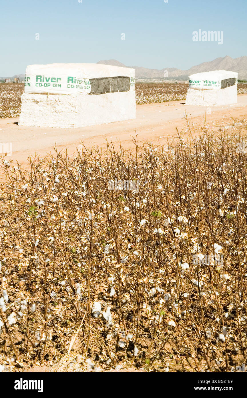 Modules hi-res stock photography and images - Alamy