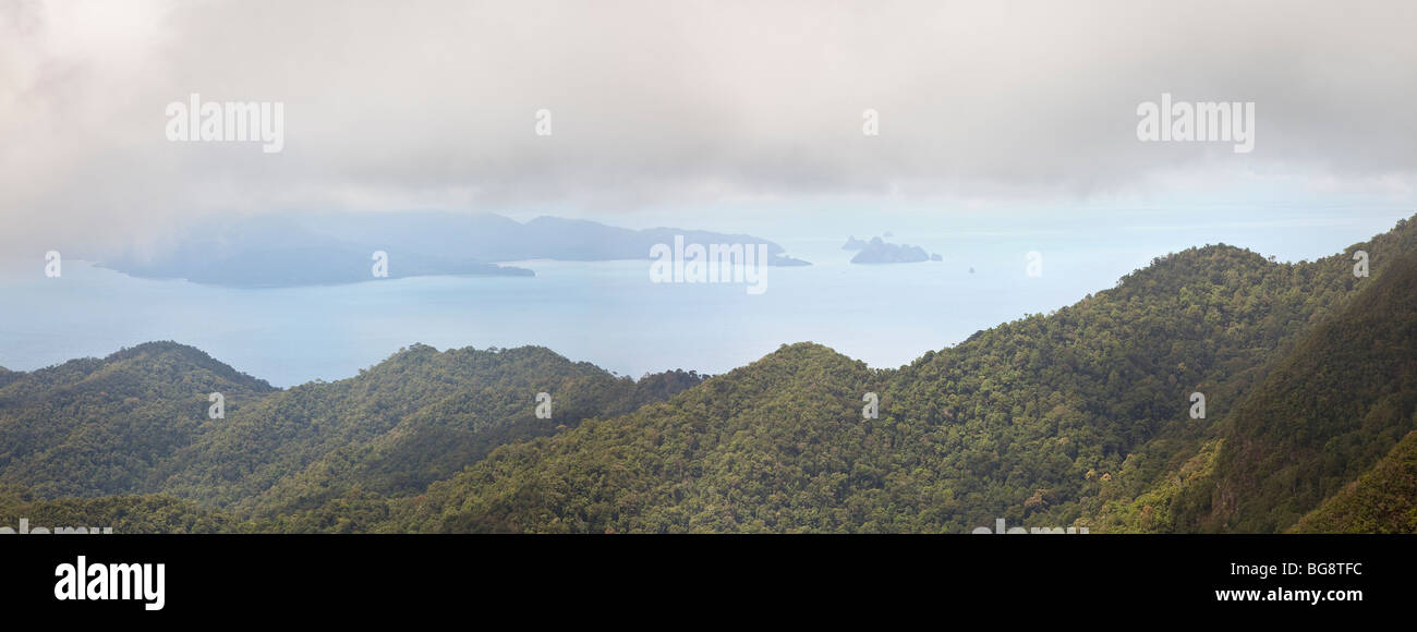 Malaysia forest reserve hi-res stock photography and images - Alamy