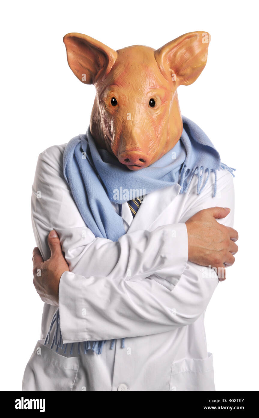 Doctor pig hi-res stock photography and images - Alamy