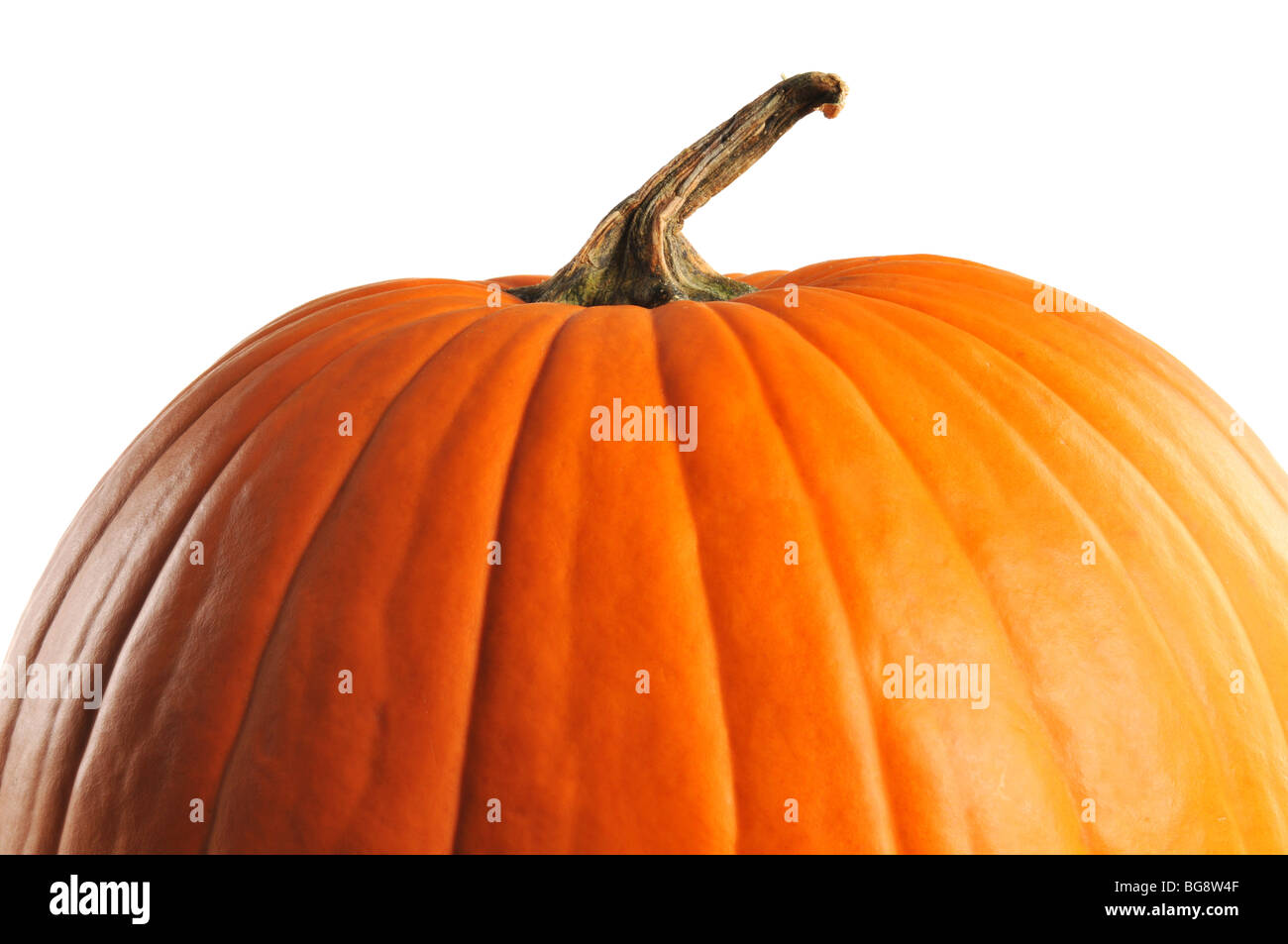 Pumpkin close up isolated on a white background Stock Photo - Alamy