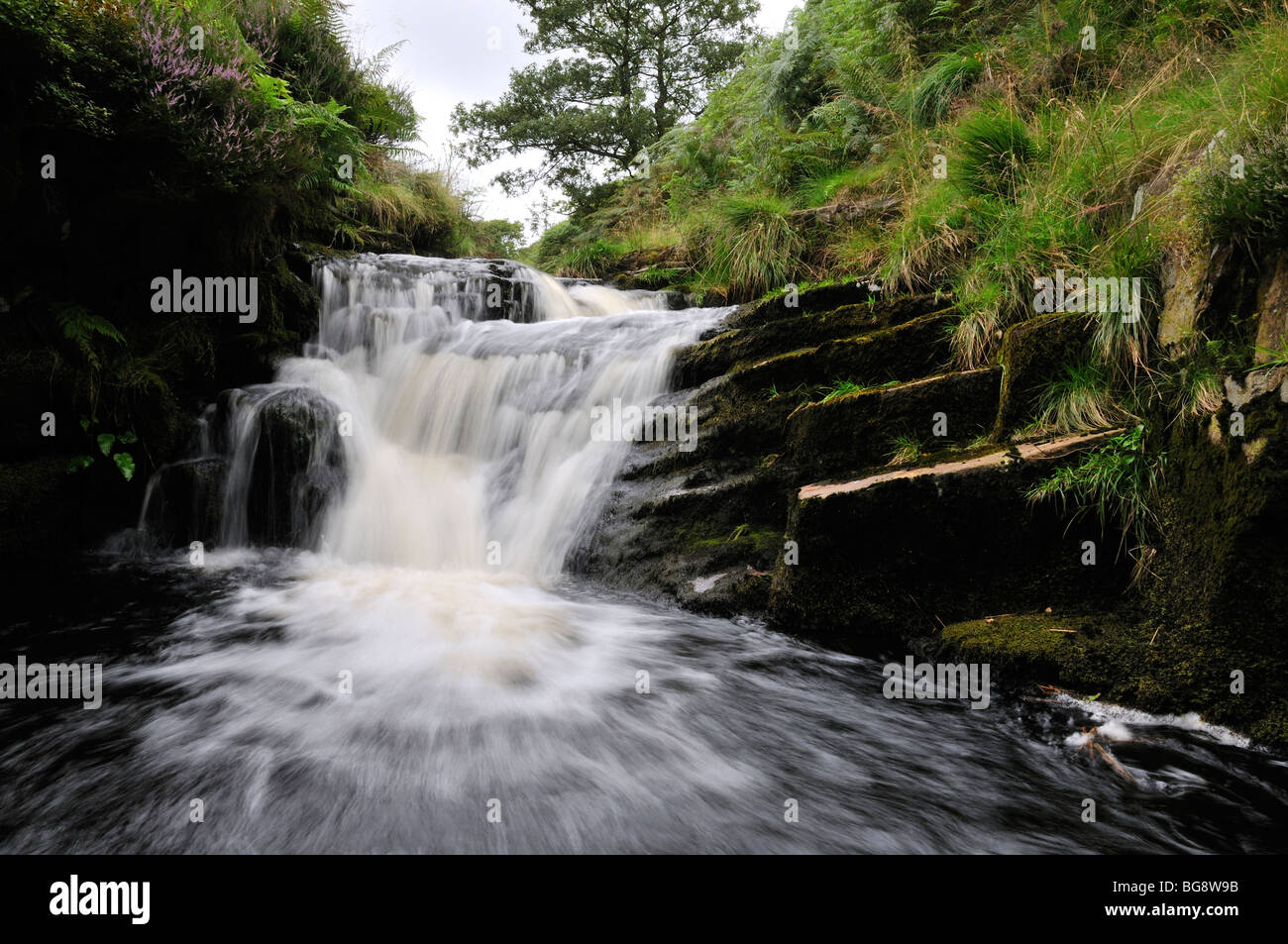 River Dane at Three Shires Heads, UK Stock Photo - Alamy