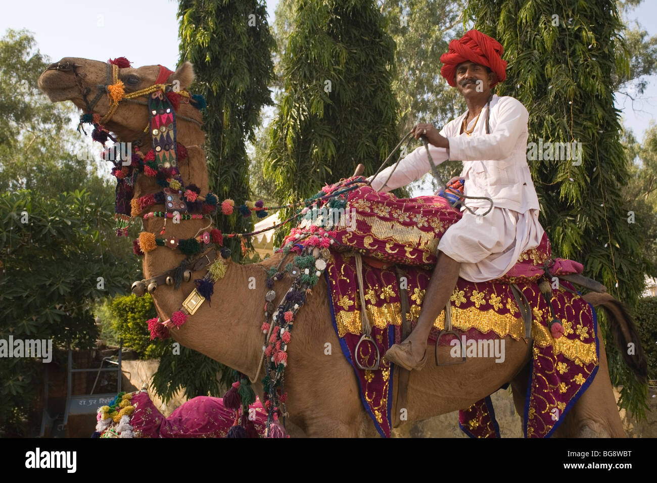 Man riding camel hi-res stock photography and images - Alamy