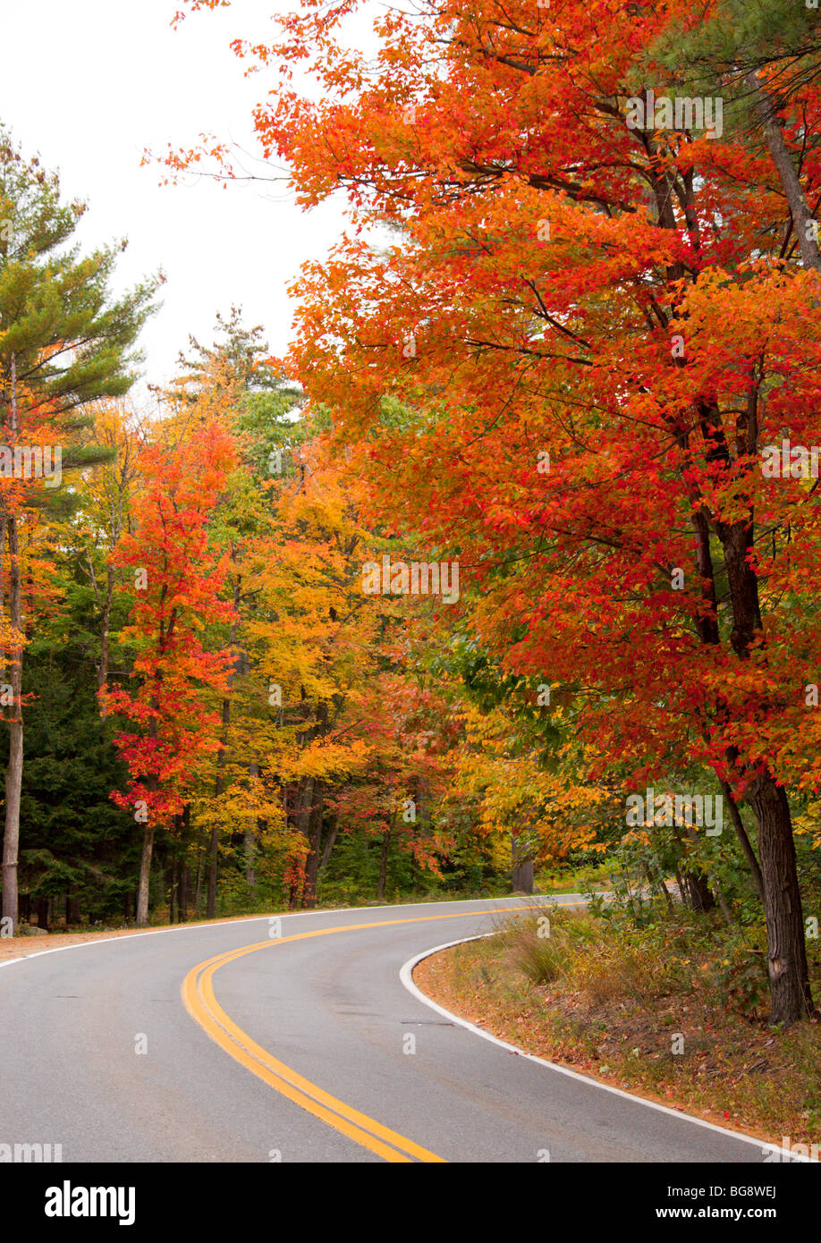Fall foliage new england hi-res stock photography and images - Alamy