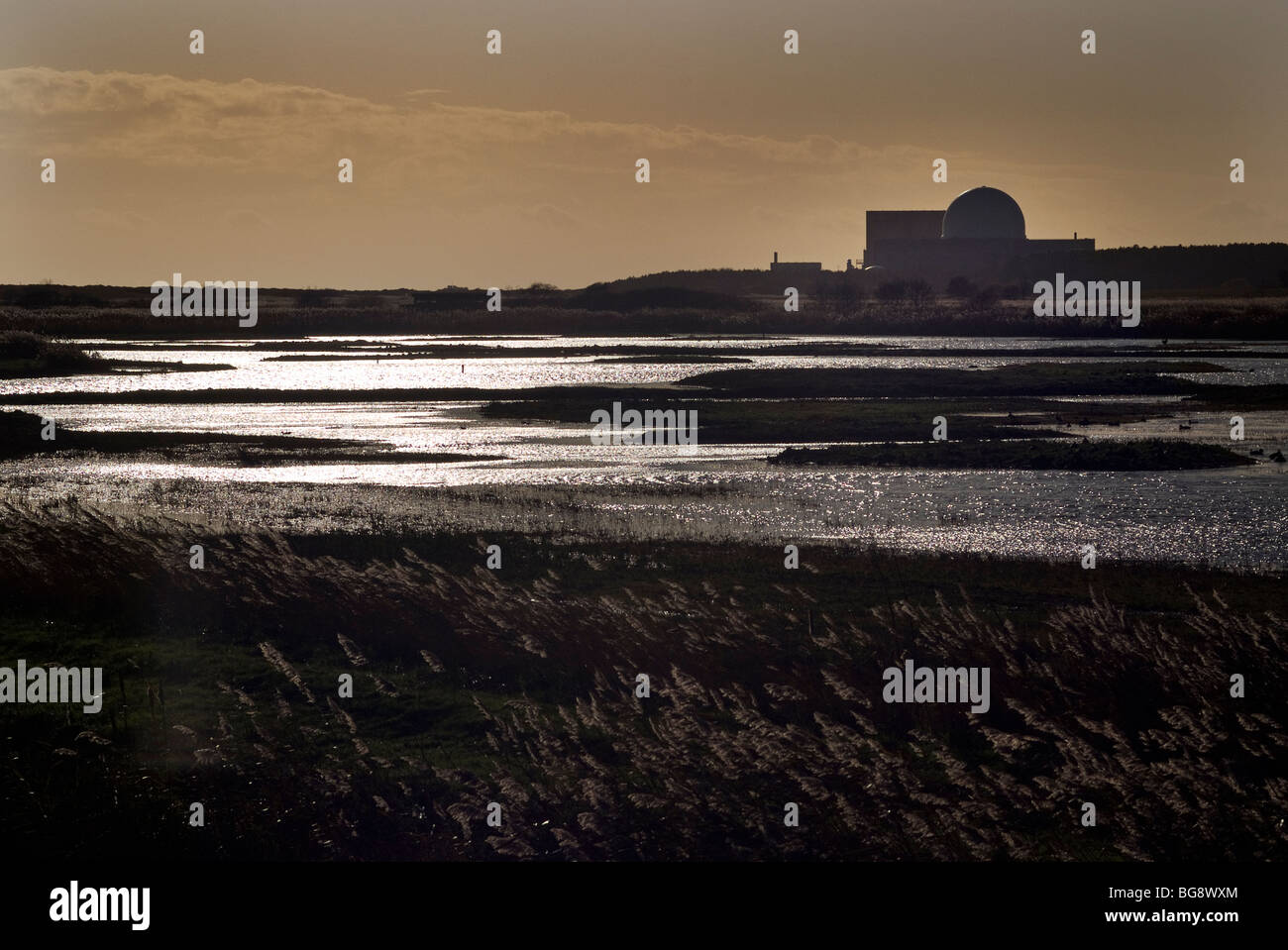 minsmere bird sanctuary with sizewell nuclear power station in ...