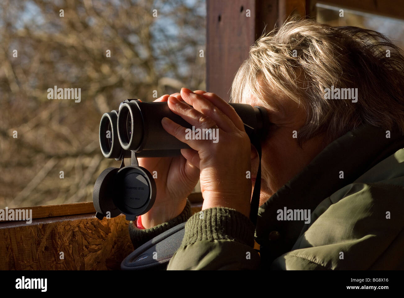 middle aged women watching birds with binoculars in bird hide Stock ...