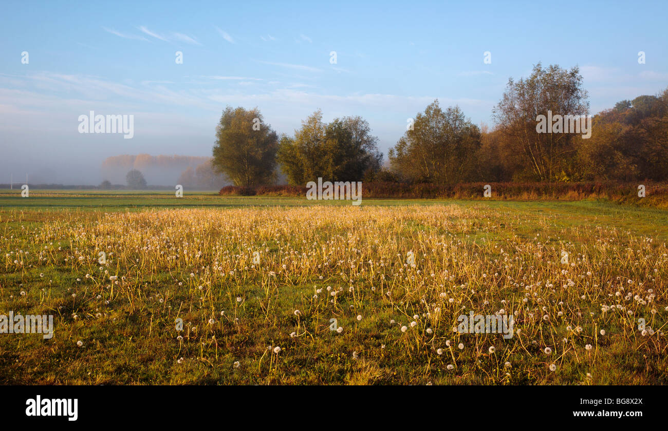 Shiplake oxfordshire hi-res stock photography and images - Alamy