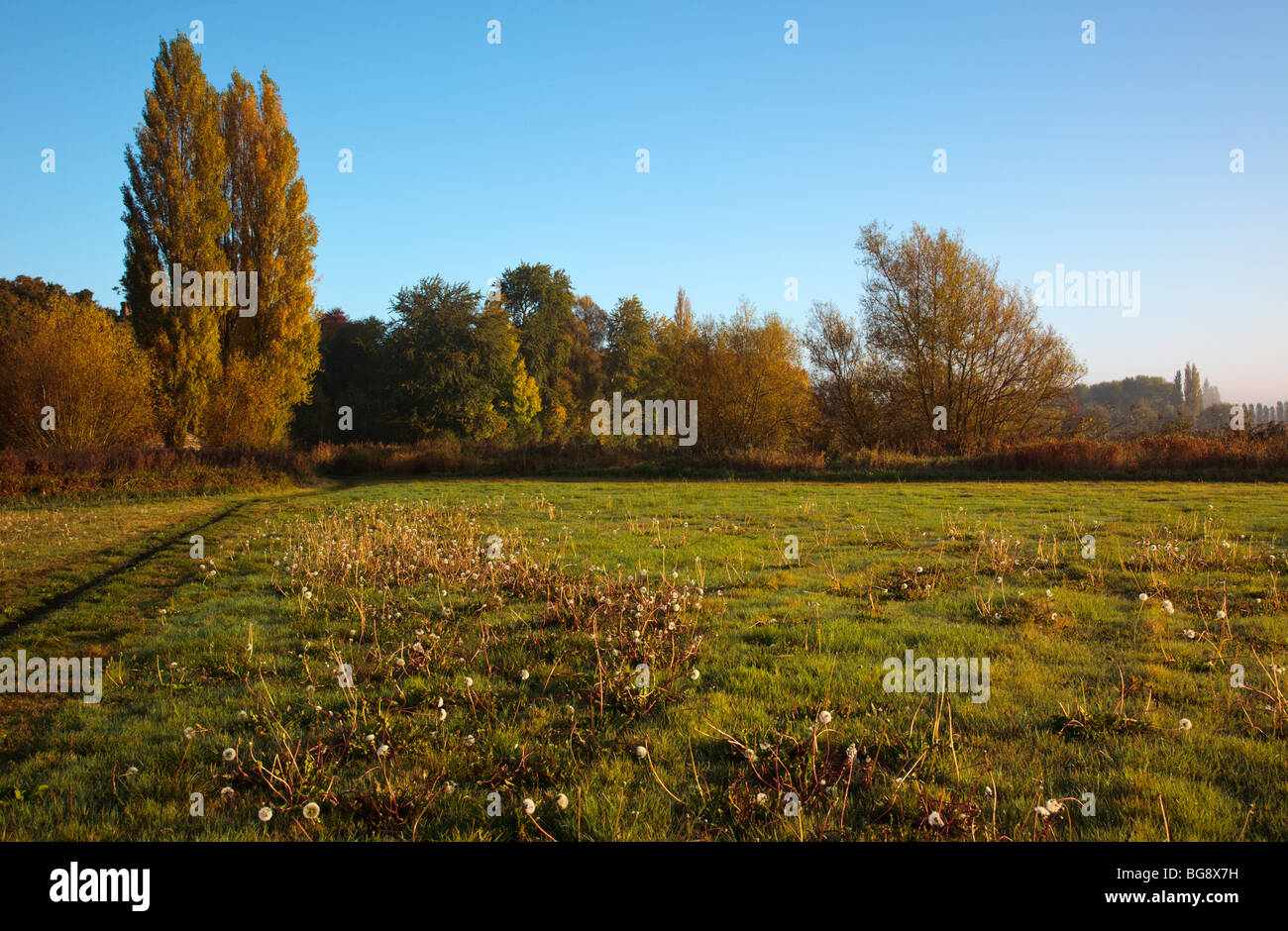 The River Thames at Shiplake Lock Oxfordshire England UK Stock Photo ...