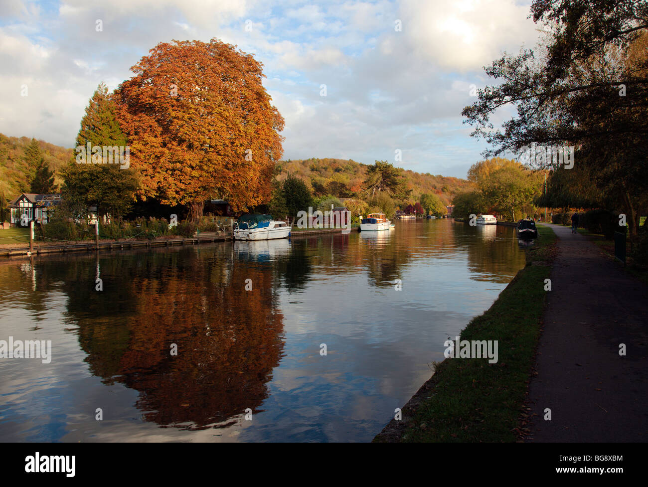 River Thames in autumn colours Oxfordshire England UK Stock Photo - Alamy