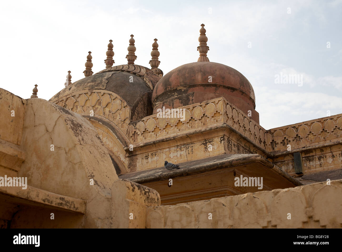 Rose palace India Rajasthan Stock Photo - Alamy