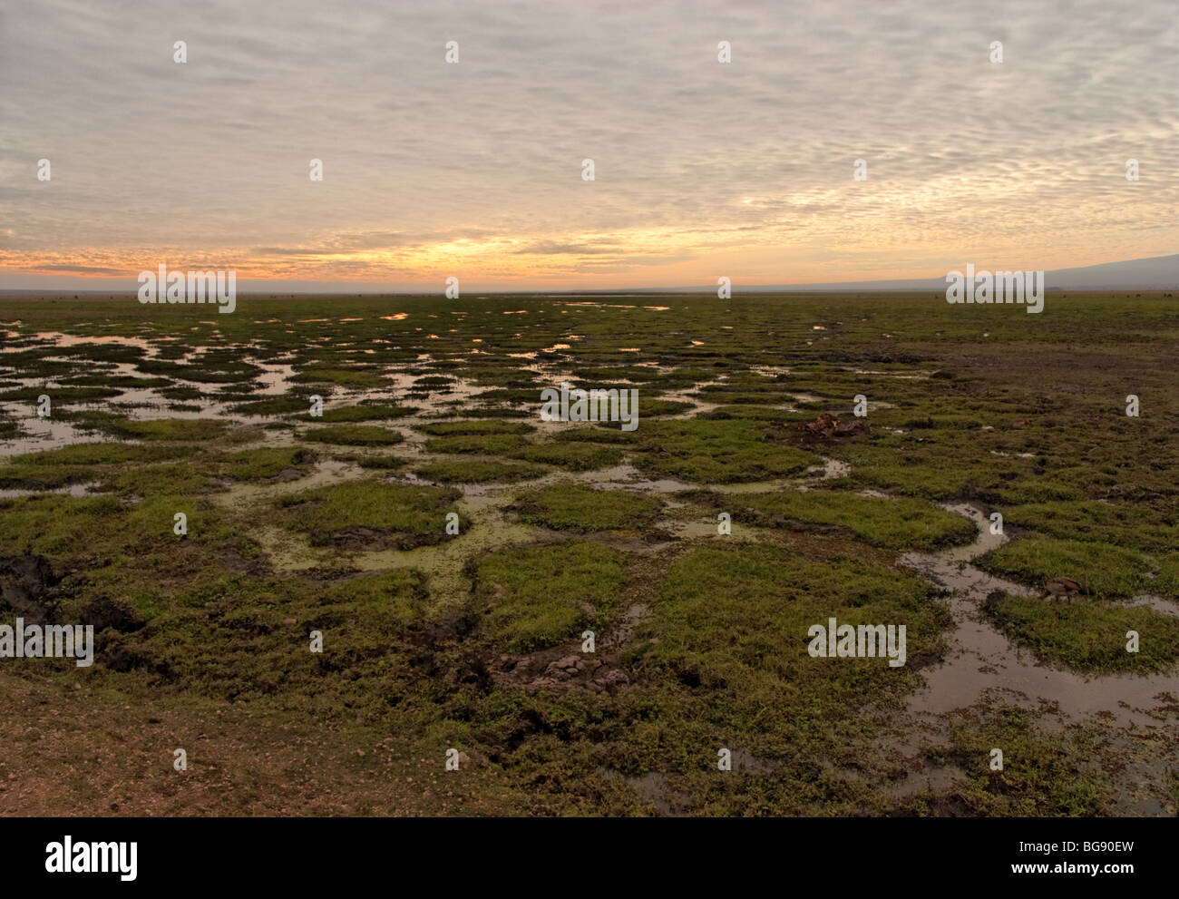 Sunset in National park Amboseli in Kenya swamp Stock Photo - Alamy