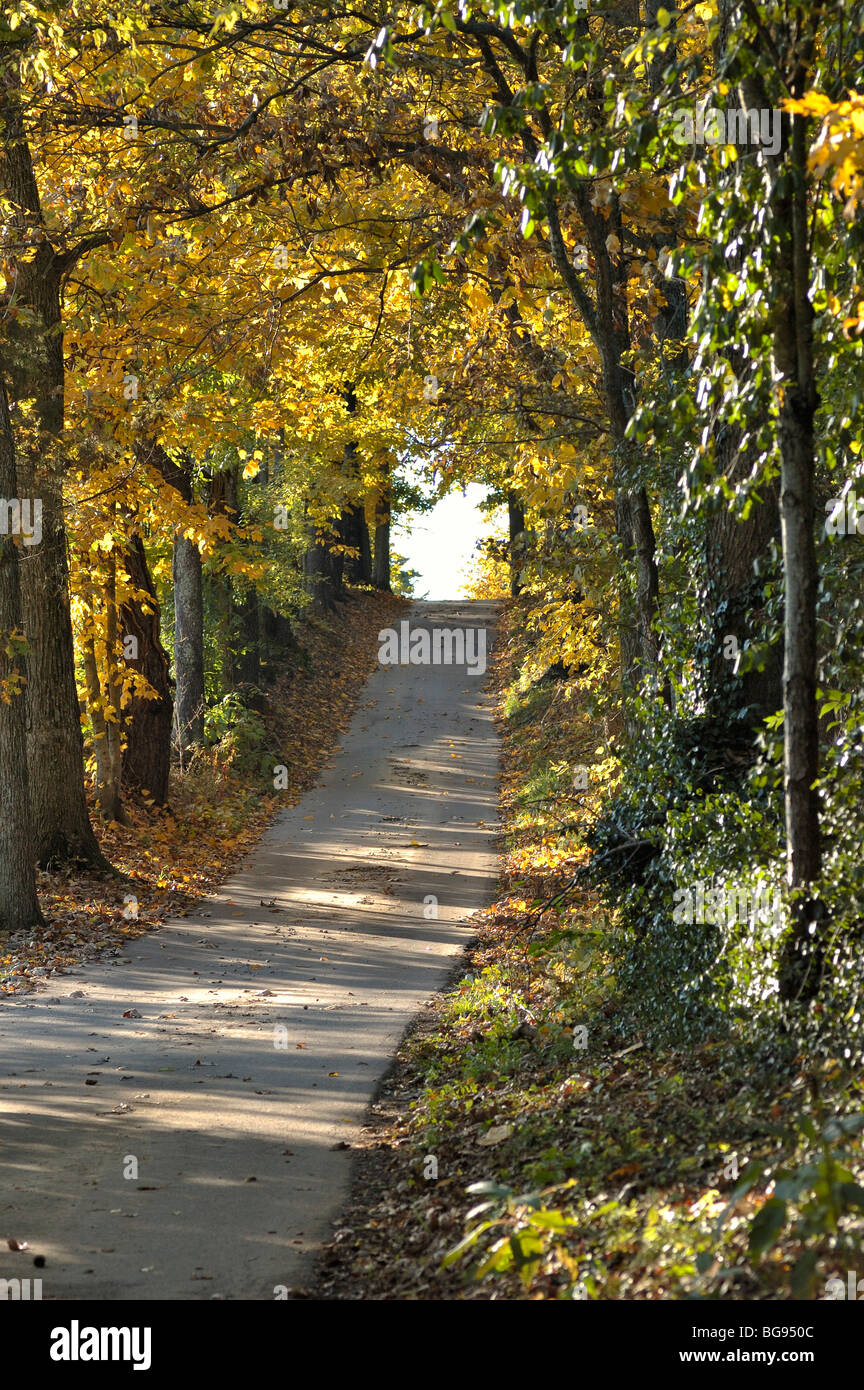 Country lane autumn hi-res stock photography and images - Alamy