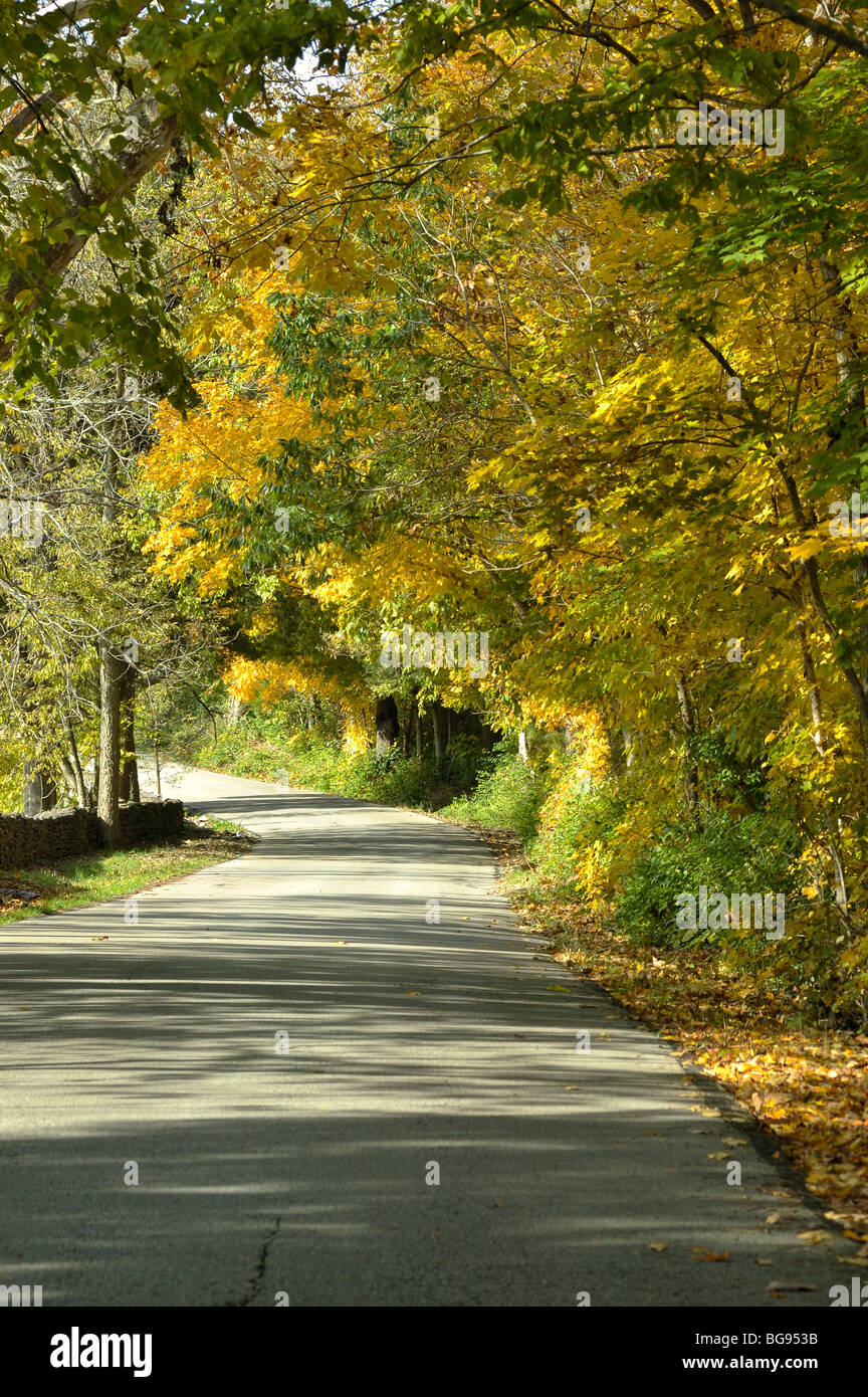 Country lane autumn hi-res stock photography and images - Alamy
