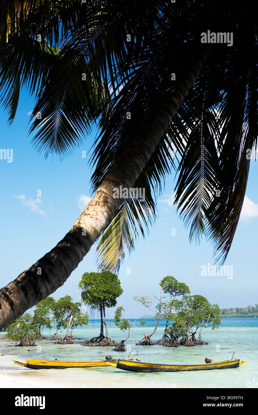 Boatsnear mangrove trees on Havelock island, Andamans, India Stock ...