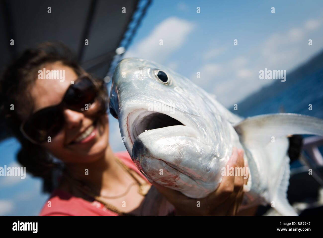 Trevally india hi-res stock photography and images - Alamy