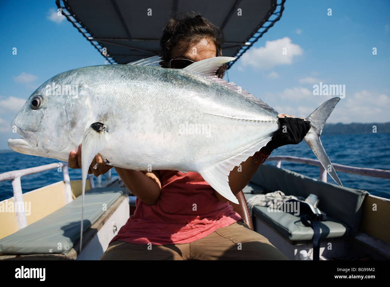 Andaman islands india fish hi-res stock photography and images - Alamy