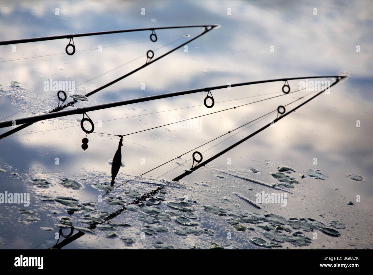 Reflections of summer sky in lily pond hi-res stock photography and ...