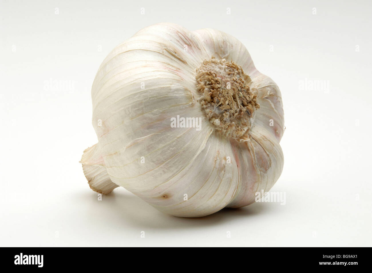 Clove of garlic Stock Photo - Alamy